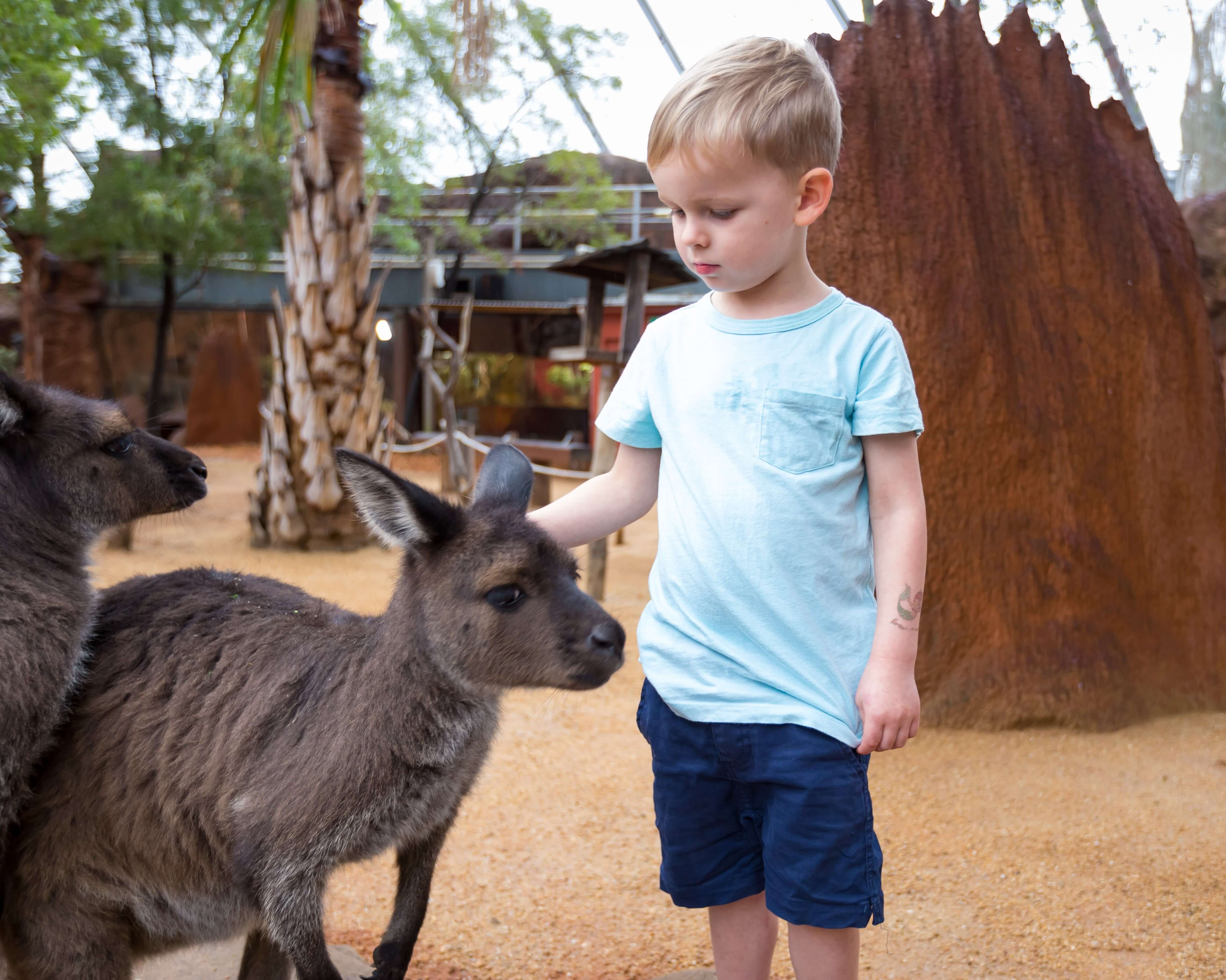Summer at WILD LIFE Sydney Zoo | Darling Harbour