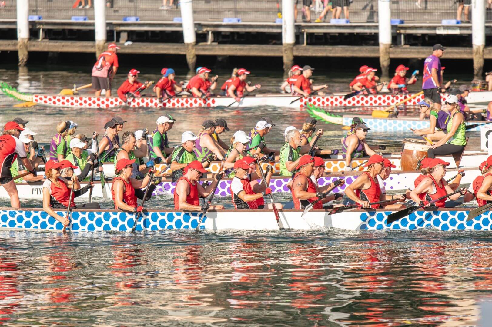 Dragons on Darling World Pride Regatta | Darling Harbour
