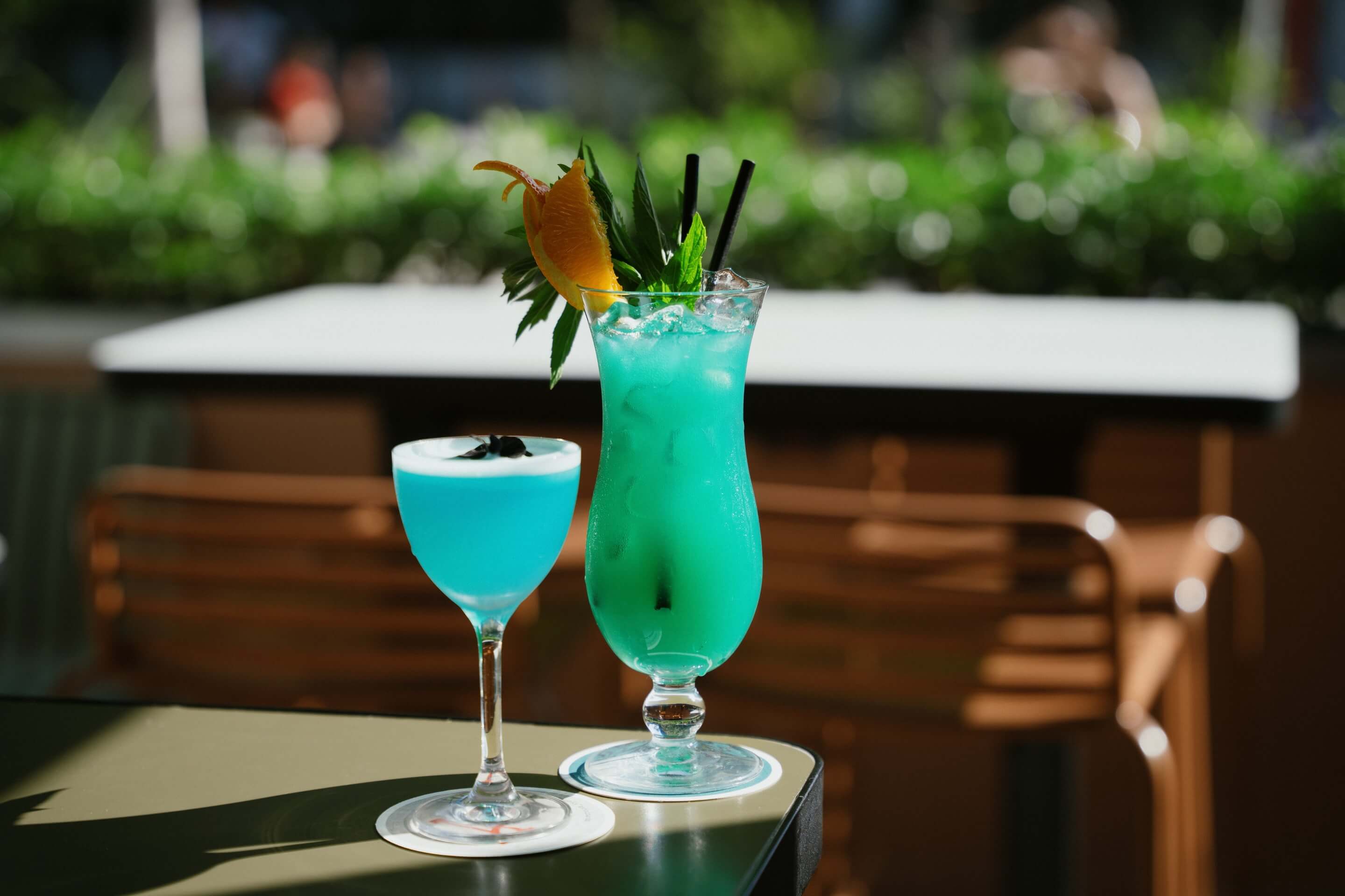 Sea Life Specials | Darling Harbour