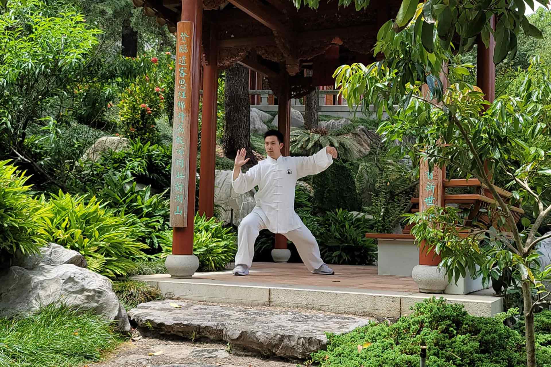 Tai Chi in the Garden | Darling Harbour
