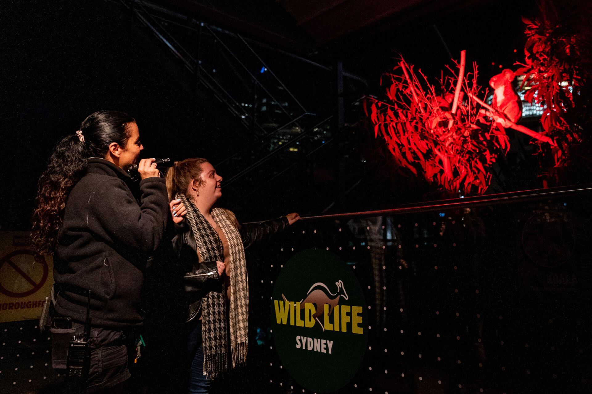 Wild Nights Zoo Tour | Darling Harbour