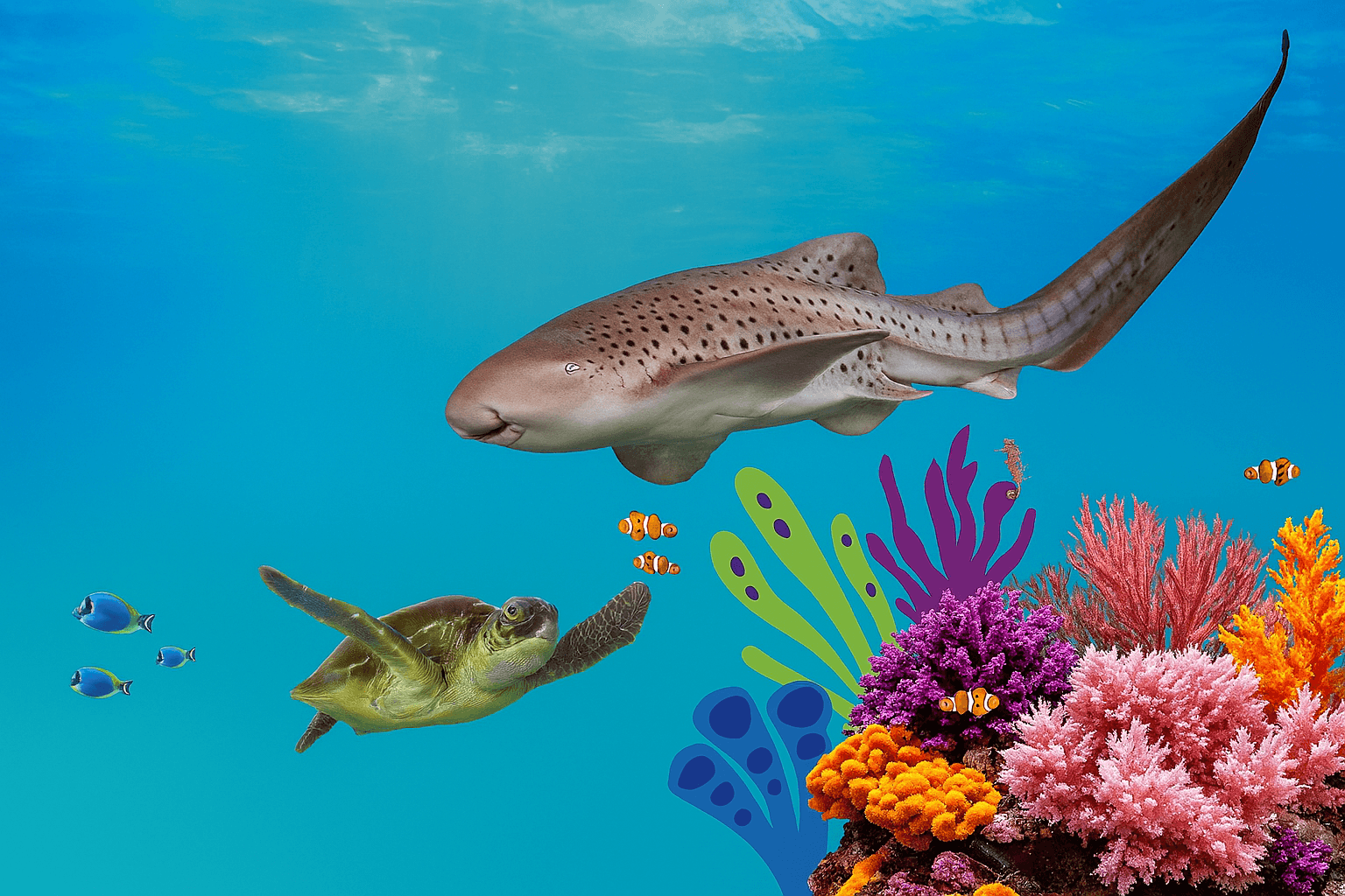 World Oceans Day at SEA LIFE Sydney Aquarium | Darling Harbour